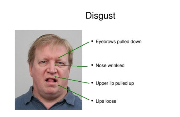 Seven Universal Facial Expressions of Emotion