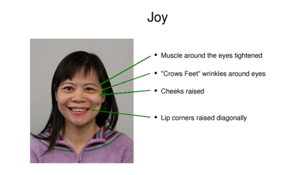 Seven Universal Facial Expressions of Emotion