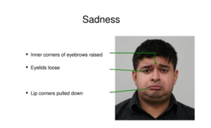 Seven Universal Facial Expressions of Emotion