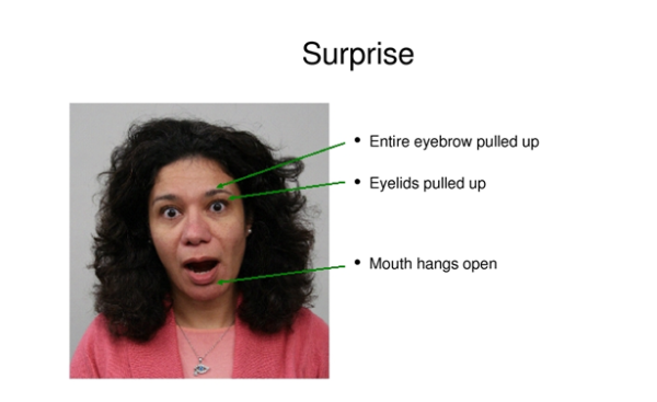 Seven Universal Facial Expressions of Emotion