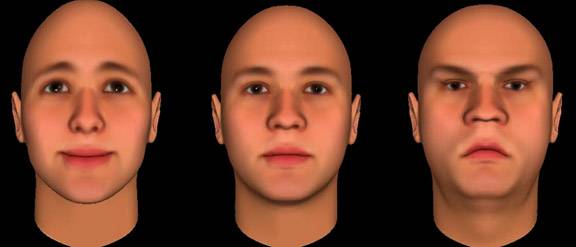 Is a Trustworthy Face the Best Poker Face?