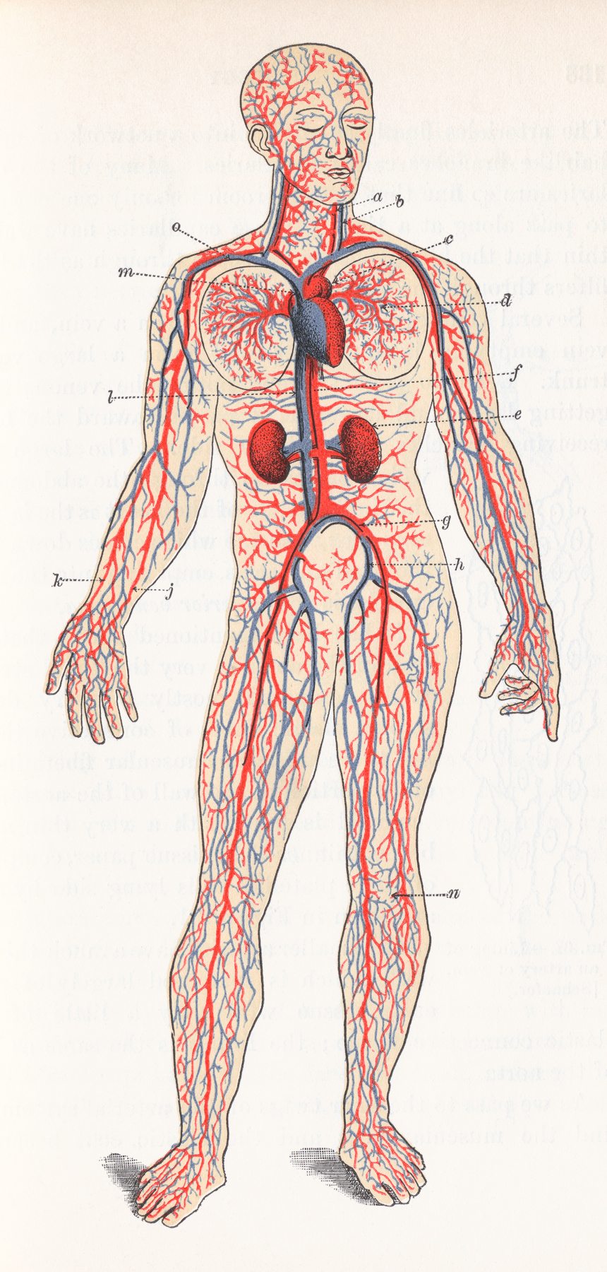 Emotions & the Human Body