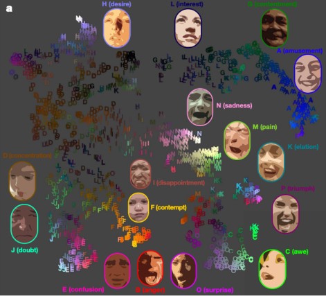 The Universality of Facial Expressions of Emotion, An Update