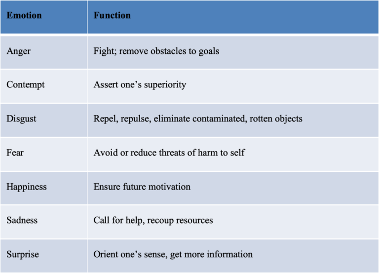 What Is the Difference Between Emotions and Feelings?