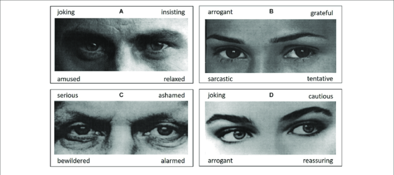 Example-items-from-the-Reading-the-Mind-in-the-Eyes-Test-RMET-Baron ...