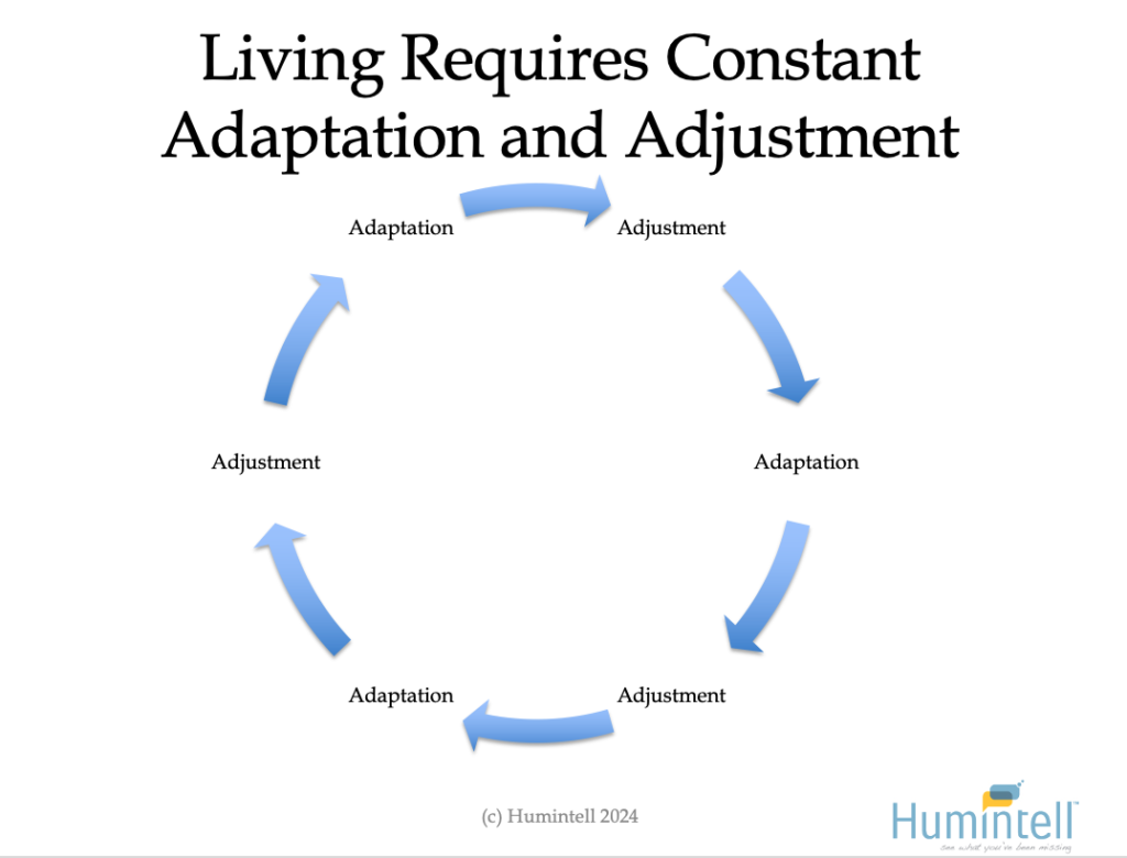 The Difference Between Cross-Cultural Adaptation vs Adjustment | Humintell